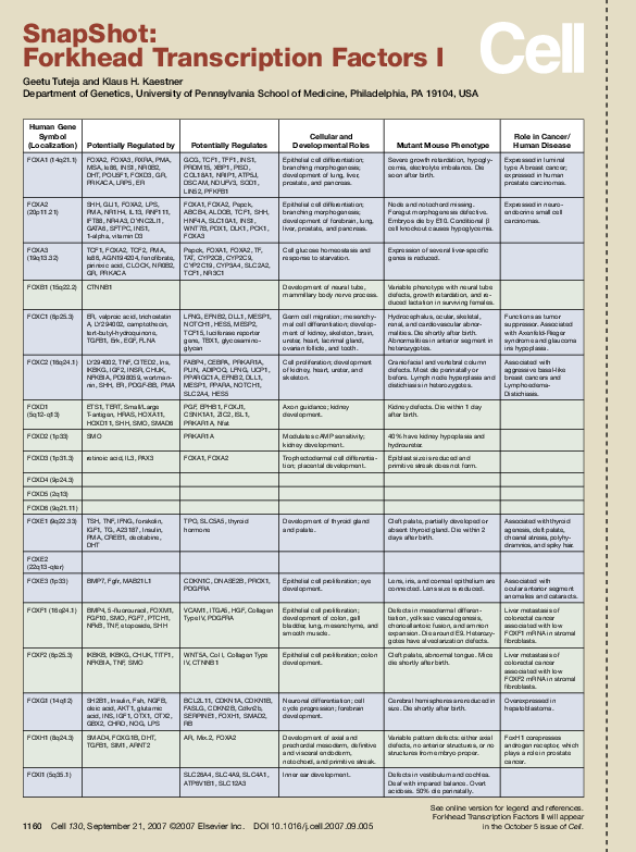 (PDF) SnapShot:Forkhead Transcription Factors I