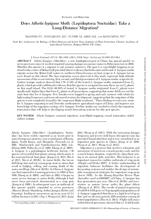 (PDF) Does Athetis lepigone Moth (Lepidoptera: Noctuidae) Take a Long ...