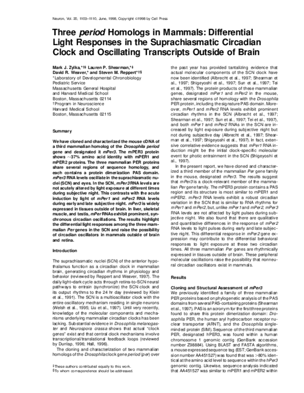 (PDF) Three period Homologs in Mammals: Differential Light Responses in ...