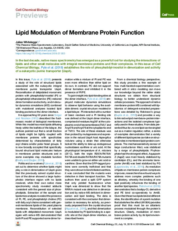 (PDF) Lipid Modulation of Membrane Protein Function