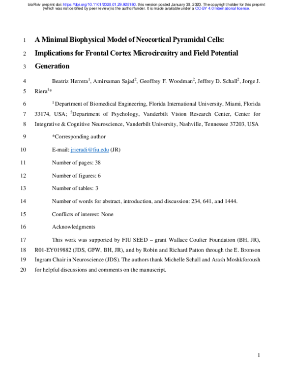 (PDF) A Minimal Biophysical Model of Neocortical Pyramidal Cells: Implications for Frontal ...