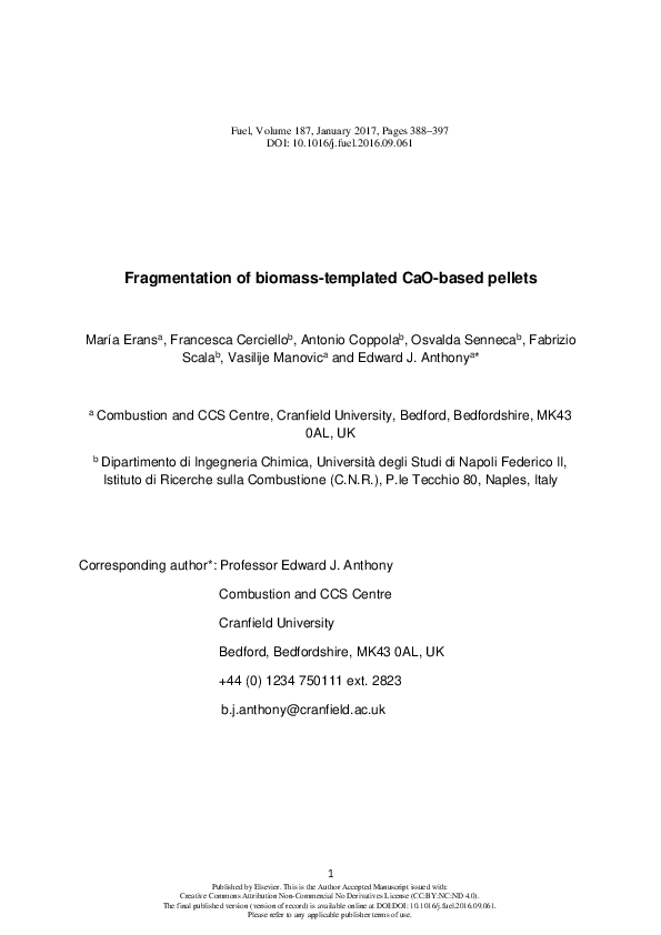 (PDF) Fragmentation of biomass-templated CaO-based pellets