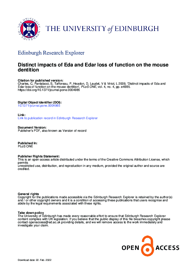 Distinct Impacts of Eda and Edar Loss of Function on the Mouse Dentition