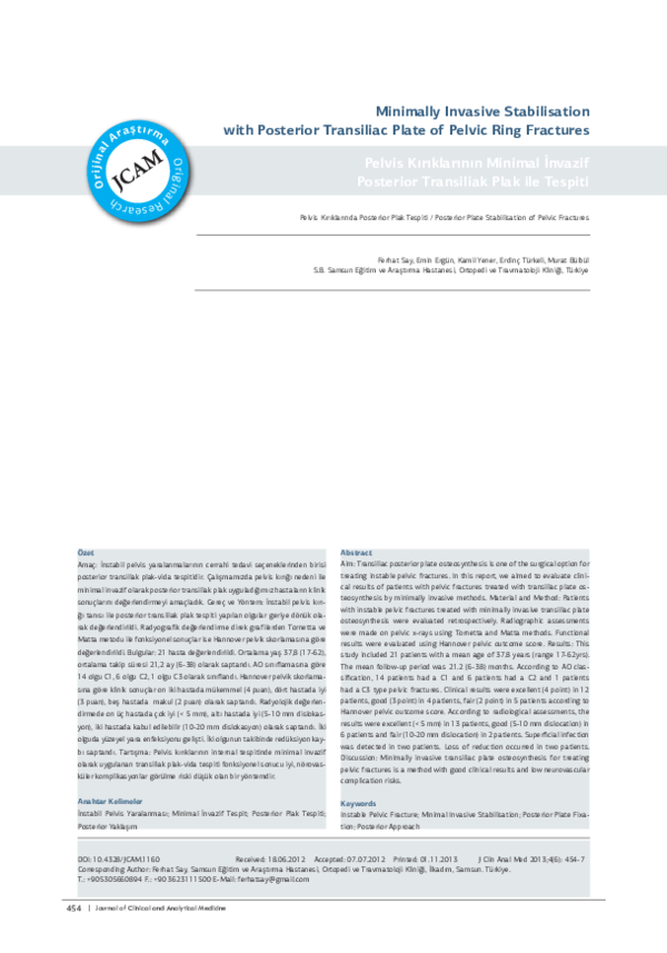 (PDF) Minimally Invasive Stabilisation with Posterior Transiliac Plate ...