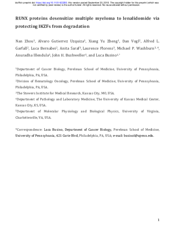 (PDF) RUNX proteins desensitize multiple myeloma to lenalidomide via protecting IKZFs from ...