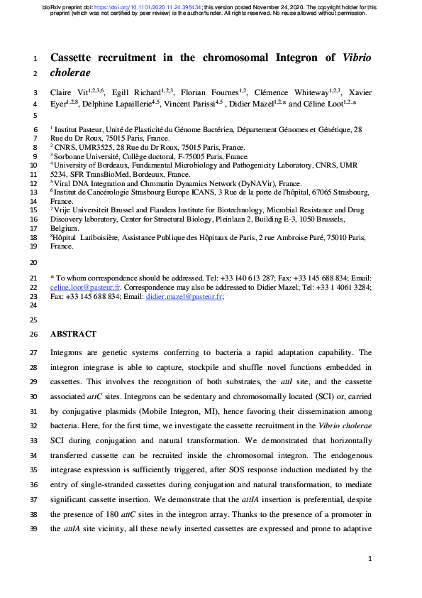 (PDF) Cassette recruitment in the chromosomal Integron of Vibrio cholerae