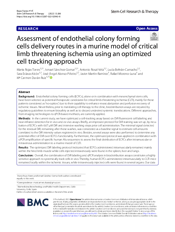 (PDF) Assessment of endothelial colony forming cells delivery routes in ...