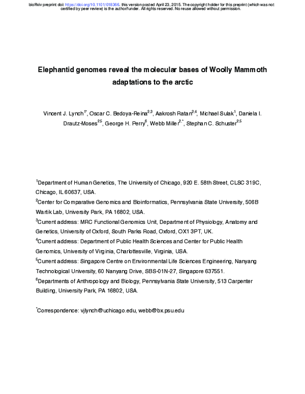 (PDF) Elephantid genomes reveal the molecular bases of Woolly Mammoth ...