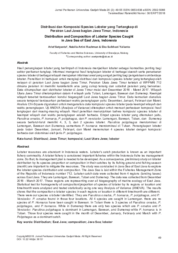 (PDF) Distribution and Composition of Lobster Species Caught in Java ...