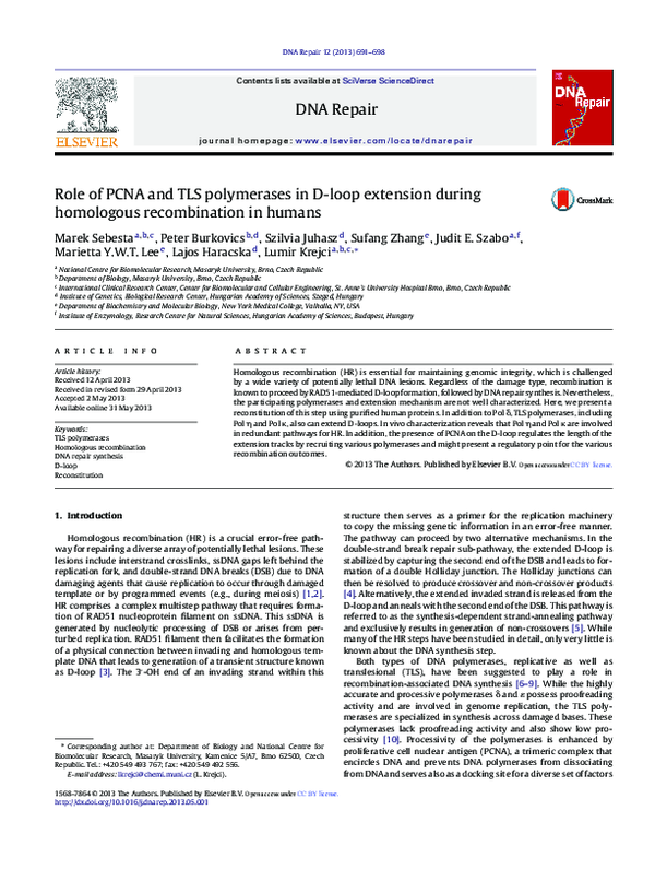 (PDF) Role of PCNA and TLS polymerases in D-loop extension during ...
