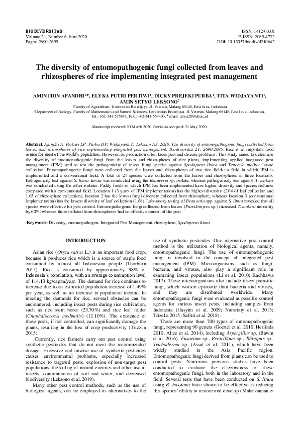 (PDF) The diversity of entomopathogenic fungi collected from leaves and rhizospheres of rice ...