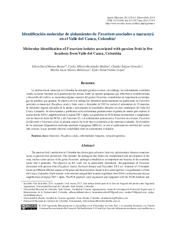 (PDF) Identificación molecular de aislamientos de Fusarium asociados a ...