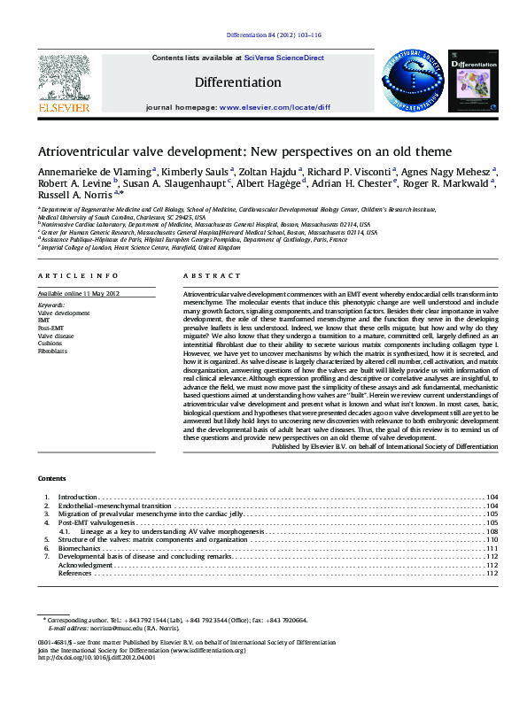 (PDF) Atrioventricular valve development: New perspectives on an old theme