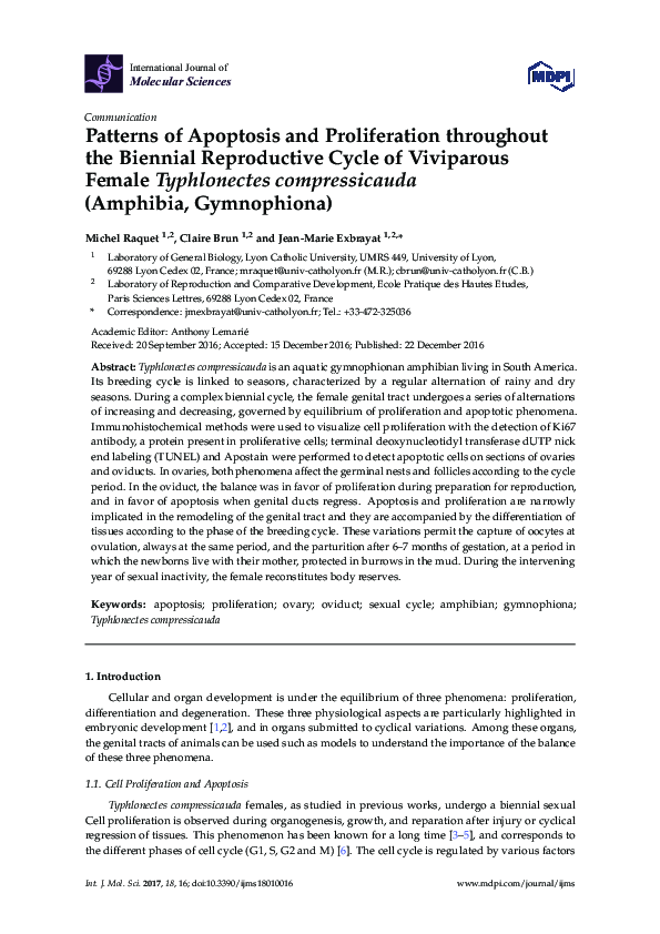 (PDF) Patterns of Apoptosis and Proliferation throughout the Biennial ...