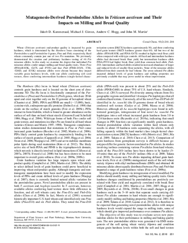 (PDF) Mutagenesis Derived Puroindoline Alleles in Triticum aestivum and ...
