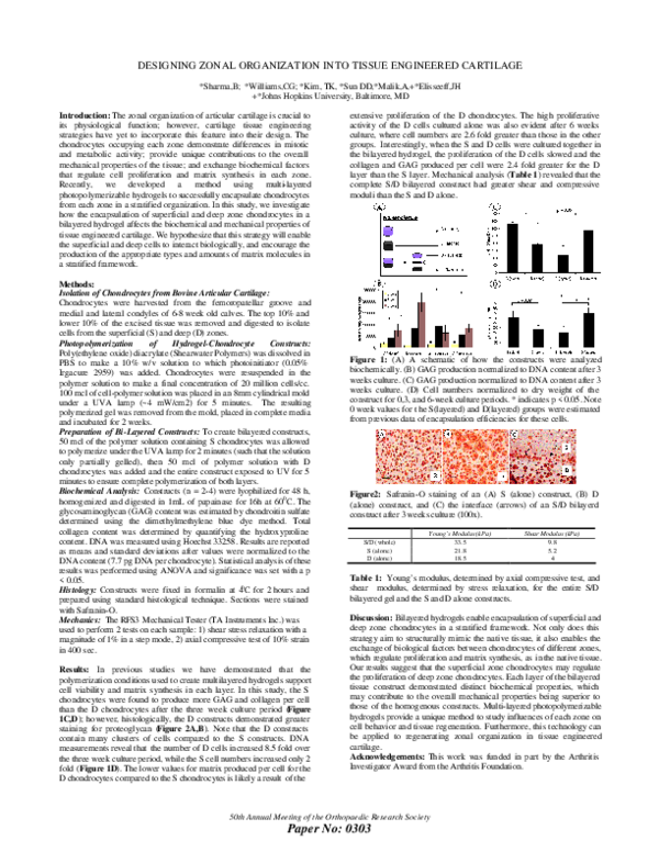 (PDF) Designing Zonal Organization into Tissue-Engineered Cartilage ...