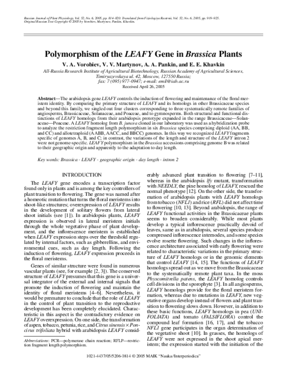 (PDF) Polymorphism of the LEAFY Gene in Brassica Plants