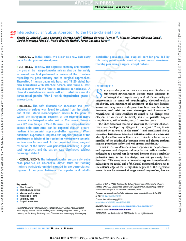 (PDF) Interpeduncular Sulcus Approach to the Posterolateral Pons ...