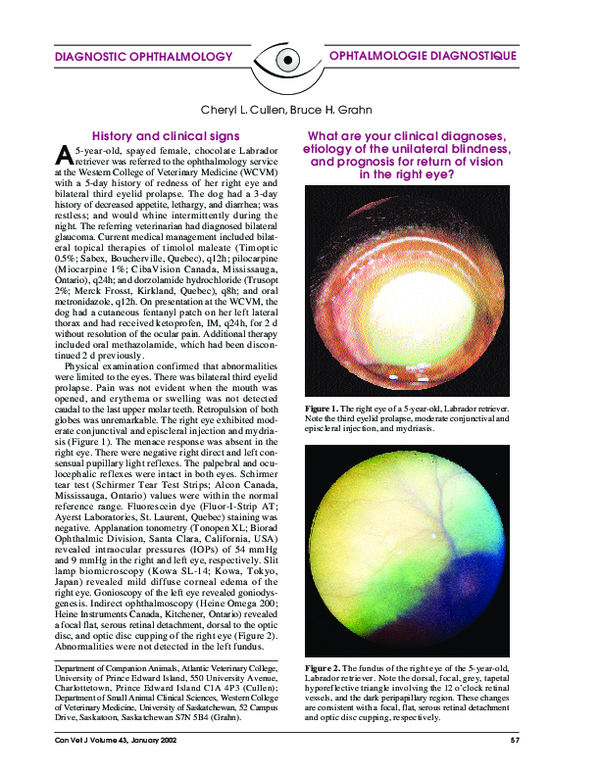 (PDF) Diagnostic ophthalmology. History and clinical signs. What are ...