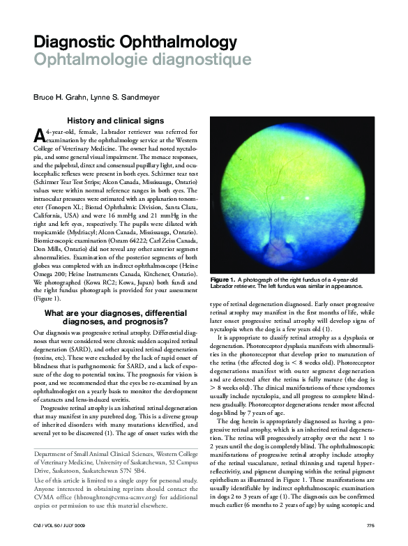 (PDF) Diagnostic ophthalmology. Progressive retinal atrophy