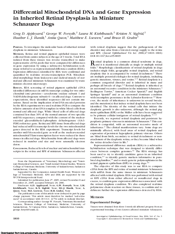 (PDF) Differential Mitochondrial DNA and Gene Expression in Inherited ...
