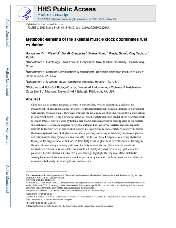 (PDF) Metabolic‐sensing of the skeletal muscle clock coordinates fuel ...
