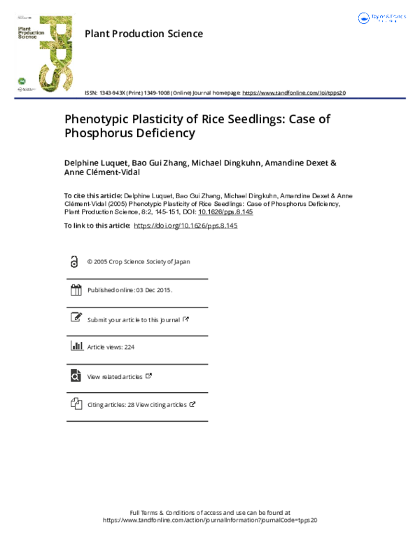(PDF) Phenotypic Plasticity of Rice Seedlings: Case of Phosphorus ...