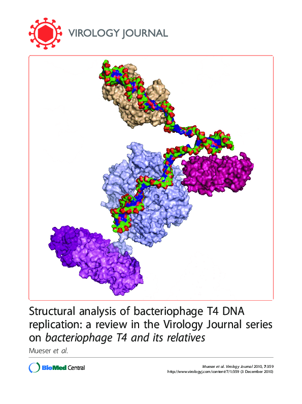 (PDF) Structural analysis of bacteriophage T4 DNA replication: a review in the Virology Journal ...
