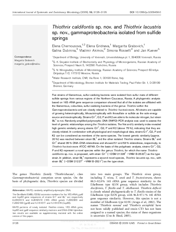 (PDF) Thiothrix caldifontis sp. nov. and Thiothrix lacustris sp. nov ...