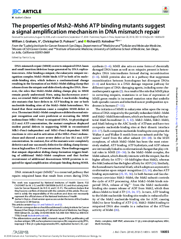 (PDF) The properties of Msh2–Msh6 ATP binding mutants suggest a signal ...