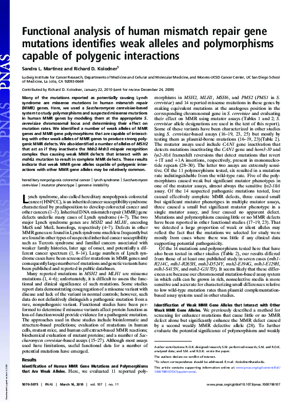 (PDF) Functional analysis of human mismatch repair gene mutations ...