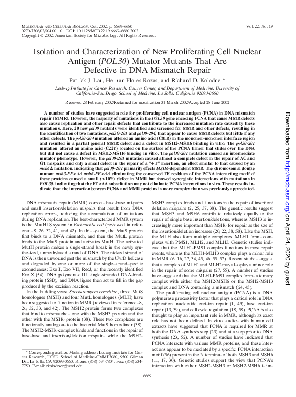 (PDF) Isolation and Characterization of New Proliferating Cell Nuclear Antigen ( POL30 ) Mutator ...