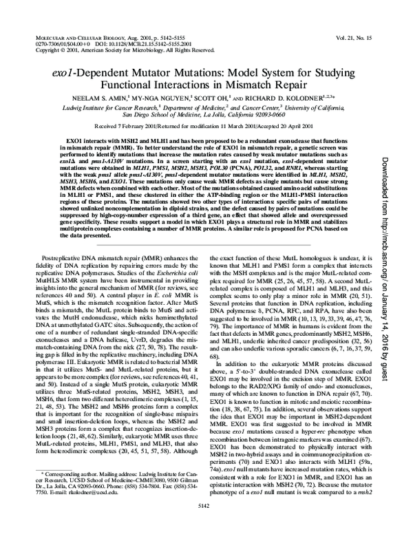 (PDF) exo1 -Dependent Mutator Mutations: Model System for Studying Functional Interactions in ...