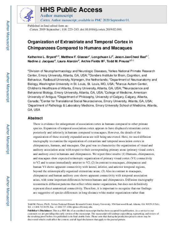 Pdf Organization Of Extrastriate And Temporal Cortex In Chimpanzees Compared To Humans And