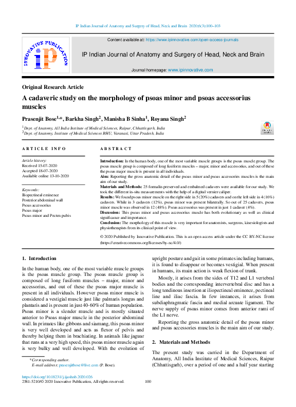 (PDF) A cadaveric study on the morphology of psoas minor and psoas ...