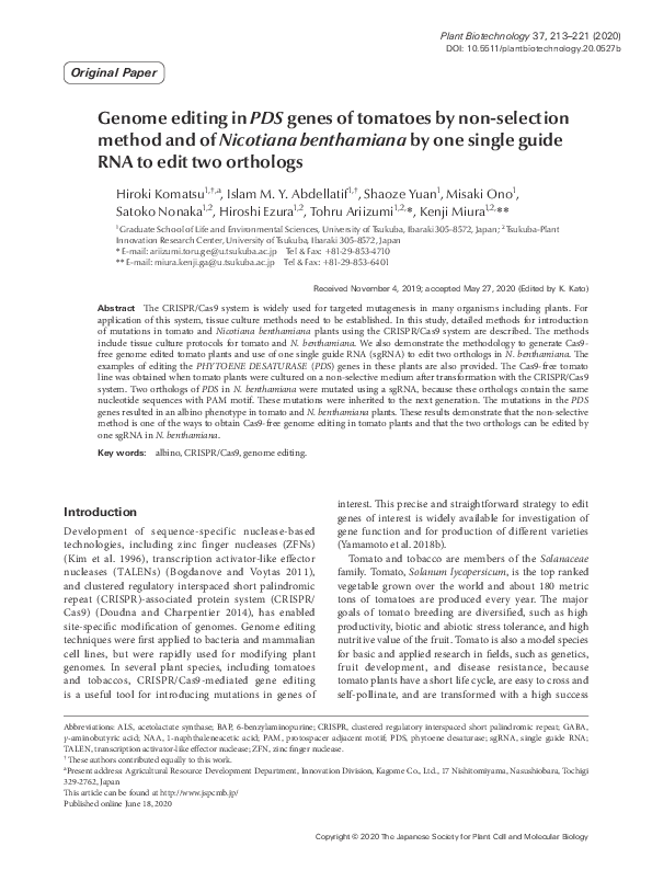 (PDF) Genome editing in PDS genes of tomatoes by non-selection method ...