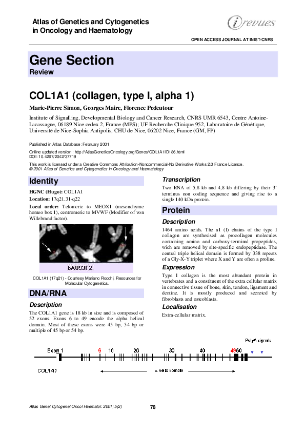 (PDF) COL1A1 (collagen, type I, alpha 1)