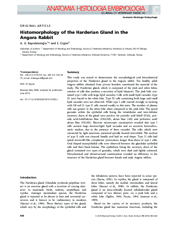 (PDF) Histomorphology of the Harderian Gland in the Angora Rabbit