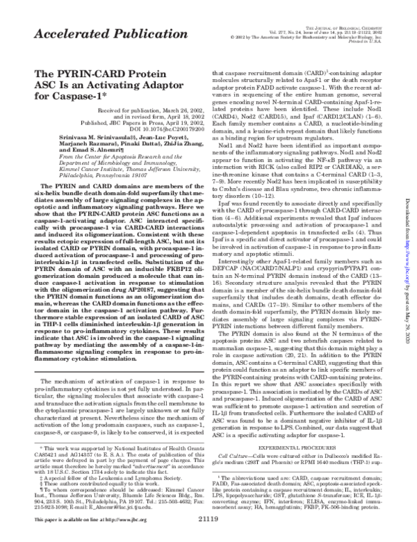 (PDF) The PYRIN-CARD Protein ASC Is an Activating Adaptor for Caspase-1