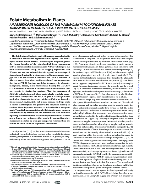 (PDF) Folate Metabolism in Plants