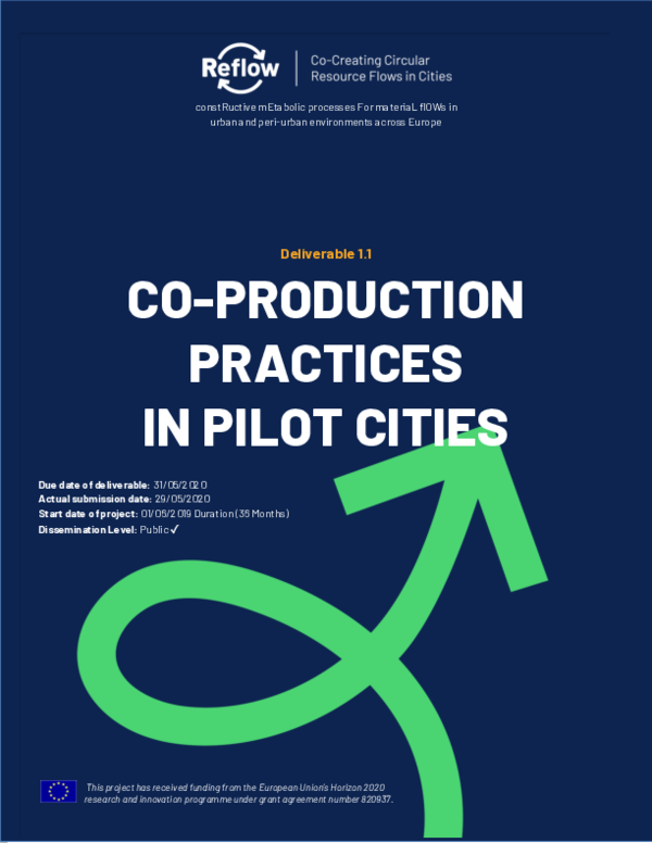 (PDF) Co-Production Practices in Pilot Cities