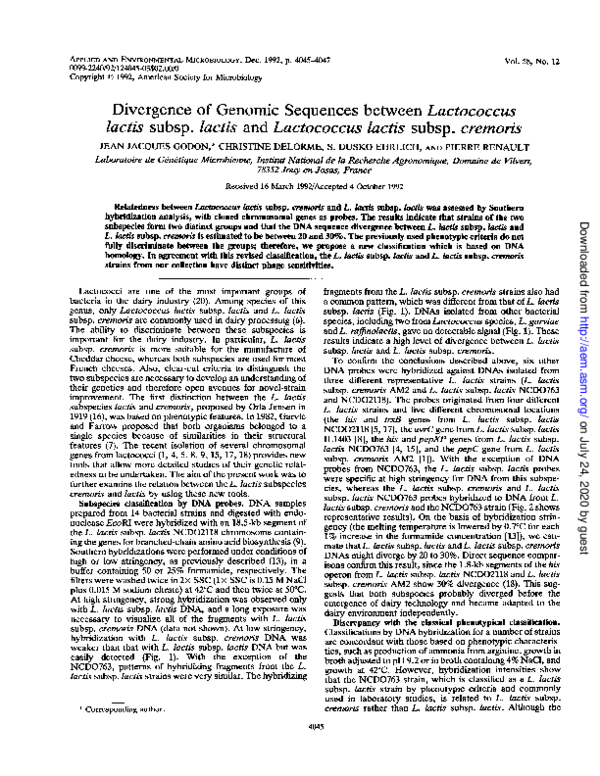 (PDF) Divergence of Genomic Sequences between Lactococcus lactis subsp ...