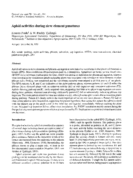 (PDF) Aphid activities during sieve element punctures