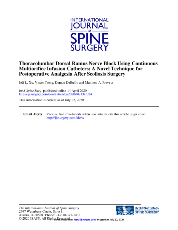 (PDF) Thoracolumbar Dorsal Ramus Nerve Block Using Continuous ...