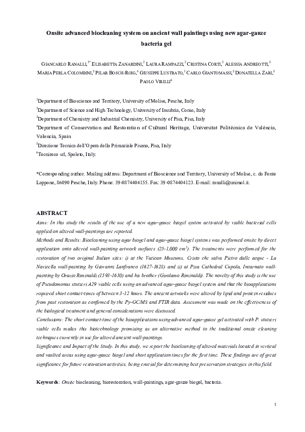 (PDF) Onsite advanced biocleaning system on ancient wall paintings ...