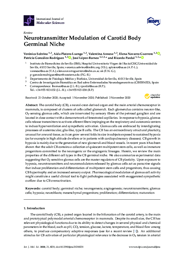 (PDF) Neurotransmitter Modulation of Carotid Body Germinal Niche