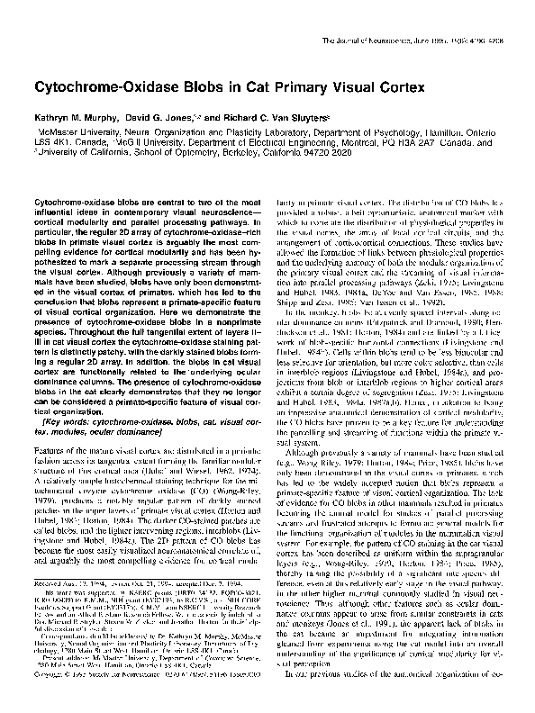 (PDF) Cytochrome-oxidase blobs in cat primary visual cortex