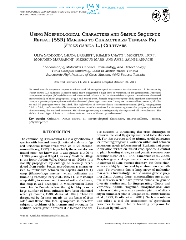 (PDF) Using Morphological Characters and Simple Sequence Repeat (SSR) Markers to Characterize ...