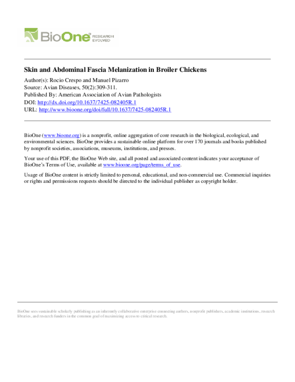 (PDF) Skin and Abdominal Fascia Melanization in Broiler Chickens