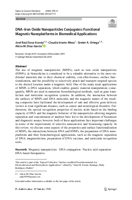 (PDF) DNA–Iron Oxide Nanoparticles Conjugates: Functional Magnetic ...